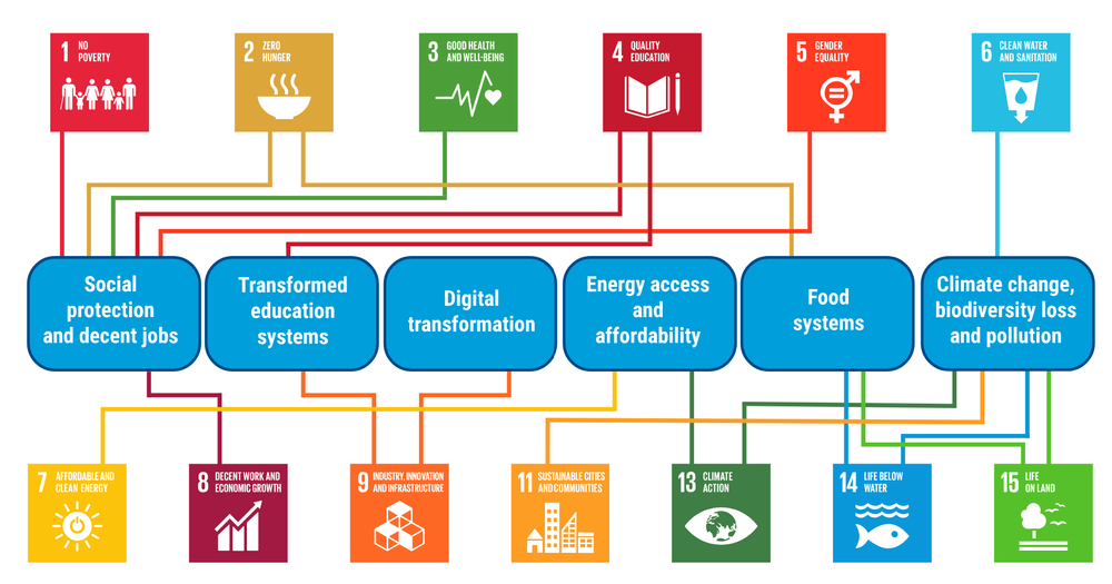 The Sustainable Development Goals - What You Should Know